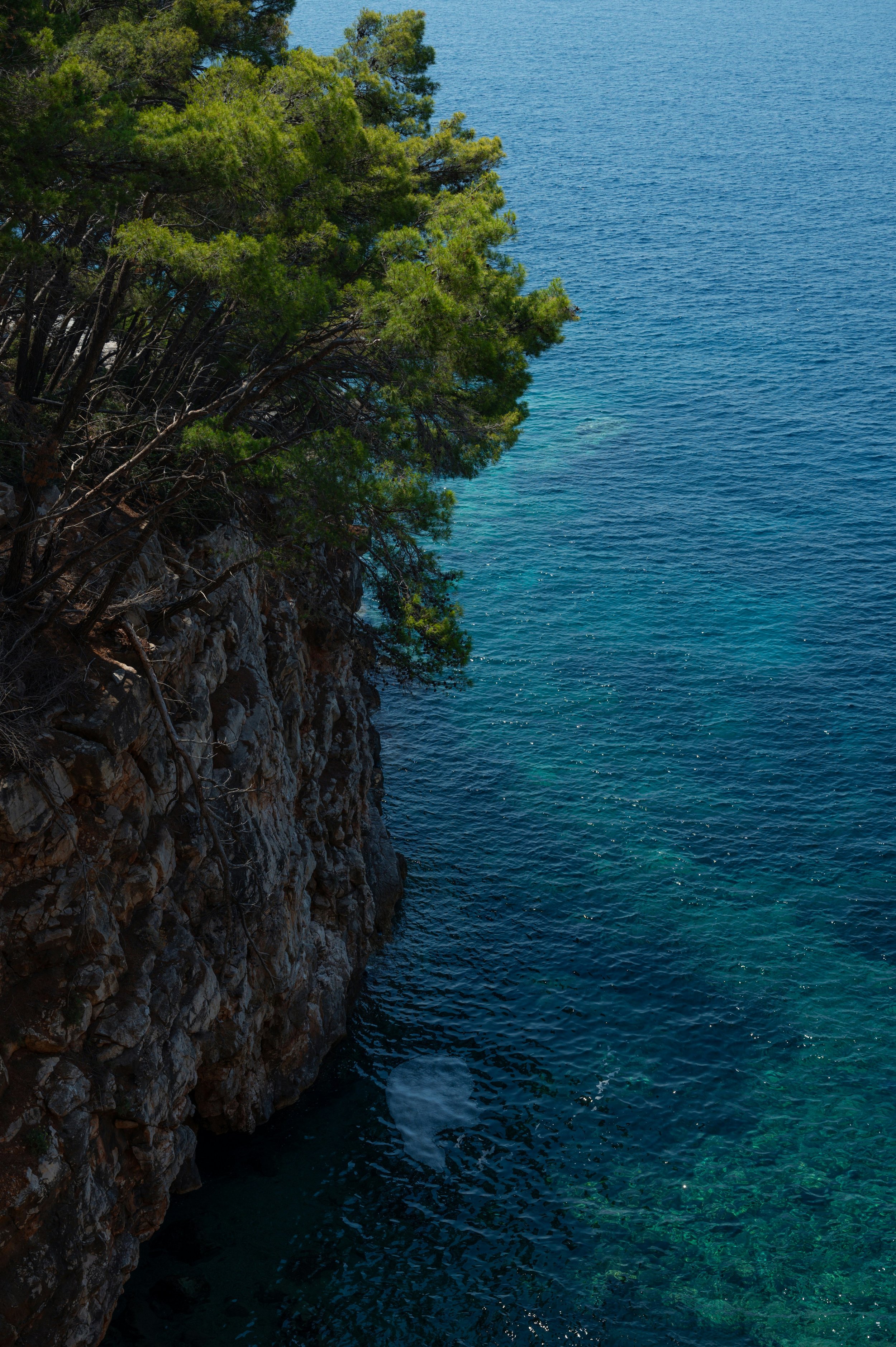Soul Alchemy - Ibiza, Spain, October 2025 | ANANDAYA